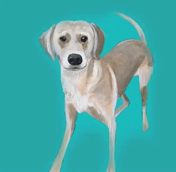 Bruno Dog Card - The Simple Interior Company