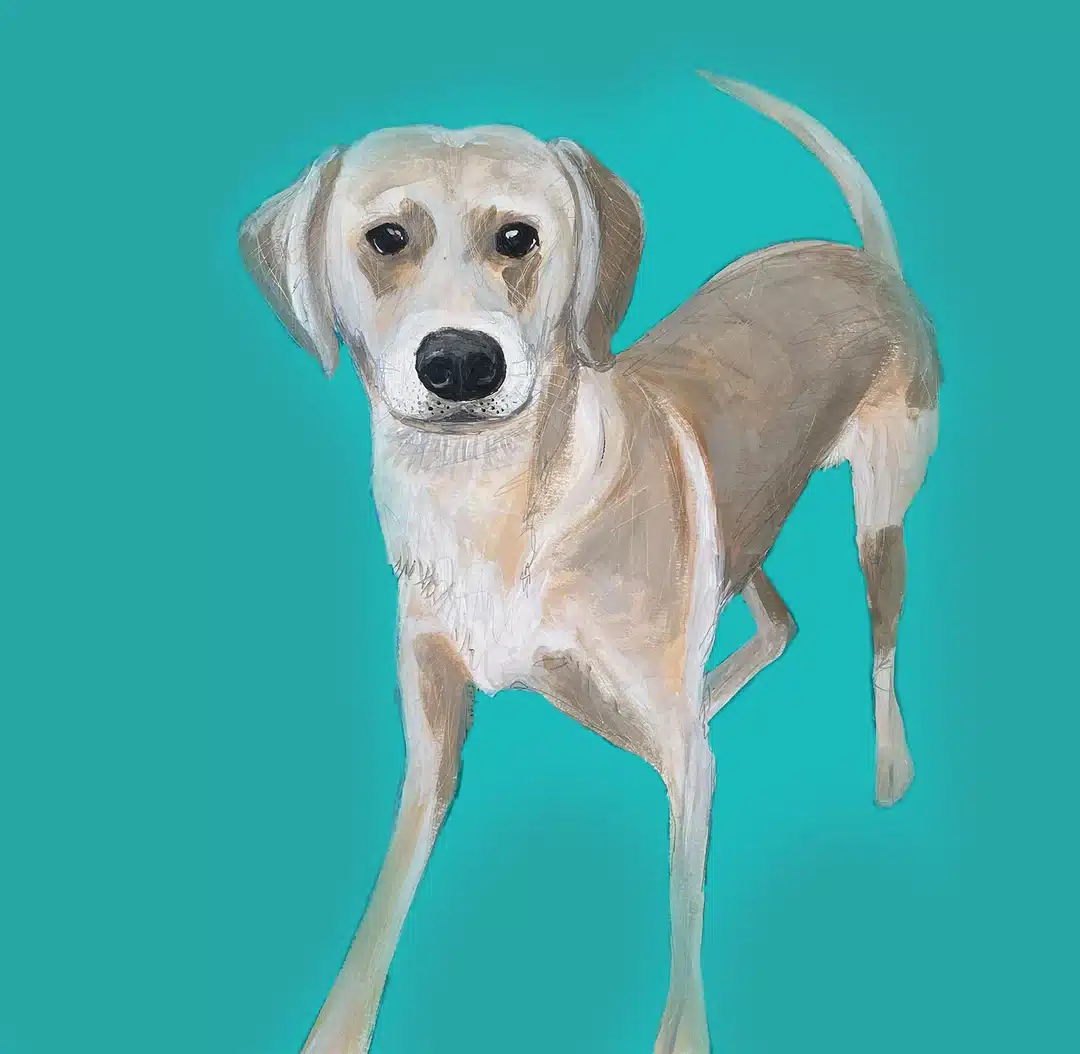 Bruno Dog Card - The Simple Interior Company